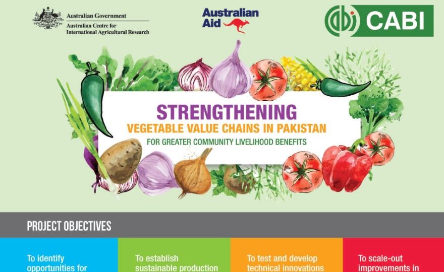 Vegetable Project Infographic | Aik Saath